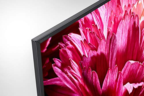 Sony X950G 65 Inch TV: 4K Ultra HD Smart LED TV with HDR and Alexa Compatibility - 2019 Model