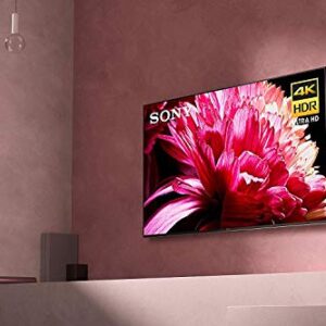 Sony X950G 65 Inch TV: 4K Ultra HD Smart LED TV with HDR and Alexa Compatibility - 2019 Model