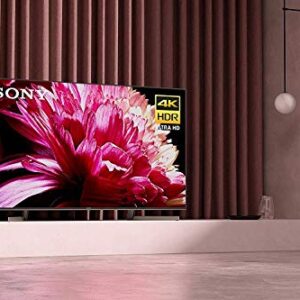 Sony X950G 65 Inch TV: 4K Ultra HD Smart LED TV with HDR and Alexa Compatibility - 2019 Model