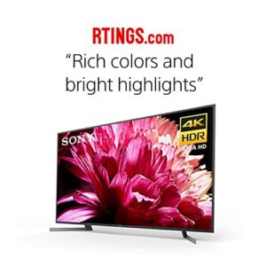 Sony X950G 65 Inch TV: 4K Ultra HD Smart LED TV with HDR and Alexa Compatibility - 2019 Model