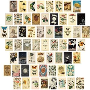 gersoniel 60 pcs vintage collection postcard set retro style botanical butterfly mushroom nature and ephemera postcards for diy card paper