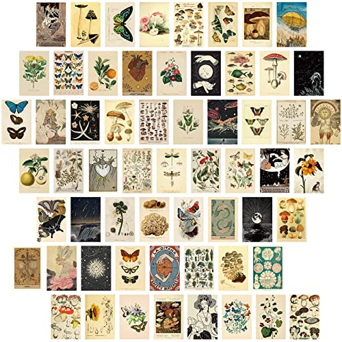 Gersoniel 60 PCS Vintage Collection Postcard Set Retro Style Botanical Butterfly Mushroom Nature and Ephemera Postcards for DIY Card Paper