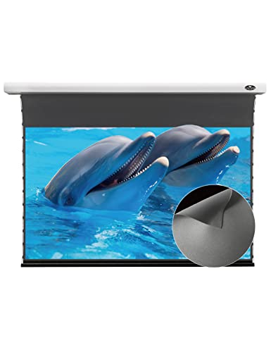 VIVIDSTORM-Projection Screen,Obsidian Long Focus ALR Slimline Motorized Office Presentation,Indoor Stand Movie Screen,Compatible with Lumen up to 2500ANSI Standard Throw Projector,VMSLALR120H