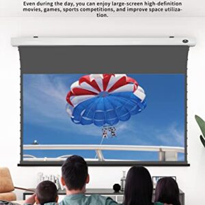 VIVIDSTORM-Projection Screen,Obsidian Long Focus ALR Slimline Motorized Office Presentation,Indoor Stand Movie Screen,Compatible with Lumen up to 2500ANSI Standard Throw Projector,VMSLALR120H