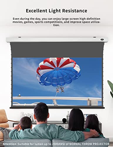 VIVIDSTORM-Projection Screen,Obsidian Long Focus ALR Slimline Motorized Office Presentation,Indoor Stand Movie Screen,Compatible with Lumen up to 2500ANSI Standard Throw Projector,VMSLALR120H