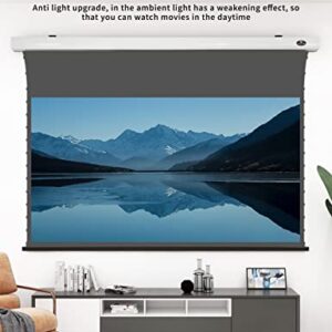 VIVIDSTORM-Projection Screen,Obsidian Long Focus ALR Slimline Motorized Office Presentation,Indoor Stand Movie Screen,Compatible with Lumen up to 2500ANSI Standard Throw Projector,VMSLALR120H