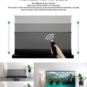 Vivid Storm Since 2004-Projection Screen S PRO Portable Folding Stand Indoor Tension ALR Floor Screen, Home Cinema Movie,Compatible with 4K/3D/HD Ultra Short Throw Laser Projector,VSDSTUST100H