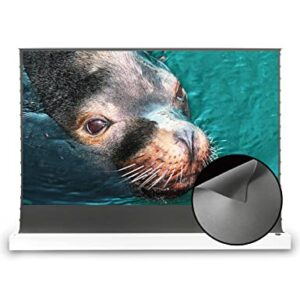 VIVIDSTORM-Projector Screen,Long Focus Ambient Light Rejecting Screen,White Housing Motorized Floor-Rising Projection Screen,Compatible with Lumen up to 2500ANSI of Normally Projector,VWSDSTALR84H