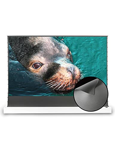 VIVIDSTORM-Projector Screen,Long Focus Ambient Light Rejecting Screen,White Housing Motorized Floor-Rising Projection Screen,Compatible with Lumen up to 2500ANSI of Normally Projector,VWSDSTALR84H