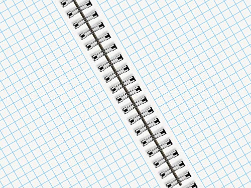 HULYTRAAT Large Graph Ruled Wirebound Spiral Notebook, 8.5 x 11 Inches, 4 X 4 Quad Ruled (4 sq/in) Paper Pad, Premium 100gsm Ivory White Acid-Free Paper, 128 Squared/Grid Pages per Book (Pack of 2)