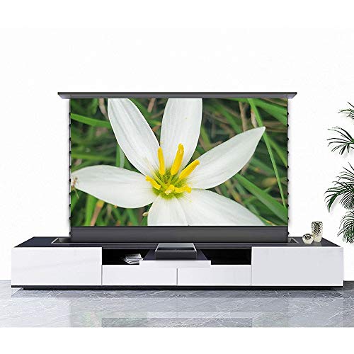 KJHD ZYZMH 92 inch 16:9 Floor Rising Electric Anti Light Motorized Projection Screen for Short Throw Laser Projector