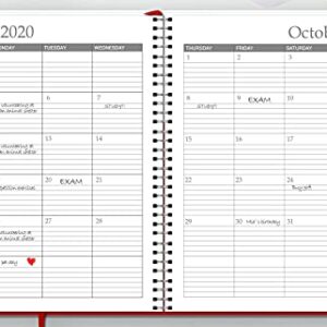 Appointment Book 2023 2024 Daily & Hourly 15 minutes, Schedule Planner Book by Strive Zen, HARDCOVER, Large, 8.5" x 11", Hourly, Weekly Planner, Monthly Planner, 18 Months, January 2023- July 2024