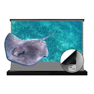 VIVIDSTORM-3D Long Focus Ambient Light Rejecting Screen Material, Motorized Floor-Rising Projection Screen,Compatible with Lumen up to 1800ANSI of Normally Projector,VSDSTALR120H-3D