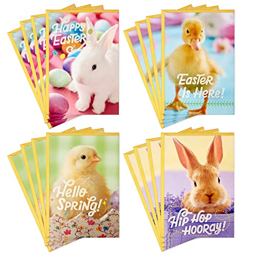 Hallmark Easter Cards Assortment, Bunnies and Chicks (16 Cards with Envelopes)