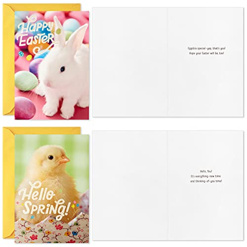 Hallmark Easter Cards Assortment, Bunnies and Chicks (16 Cards with Envelopes)