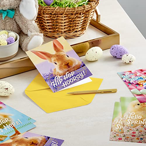 Hallmark Easter Cards Assortment, Bunnies and Chicks (16 Cards with Envelopes)