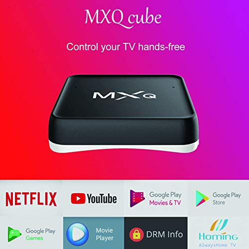 MXQ Android 7.1 ATV TV Box with Build-in AI Speaker AI Assistant S905W Quad-core 2G+16G 4K up to 60fps WiFi 2.4GHz BT 4.0 Smart Streaming Media Player for Home Entertainment