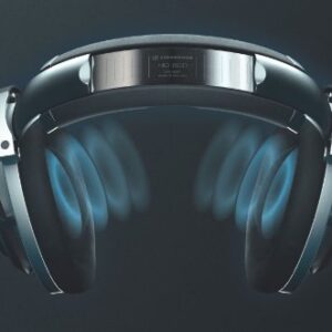 Sennheiser HD 800 Reference Dynamic Headphone