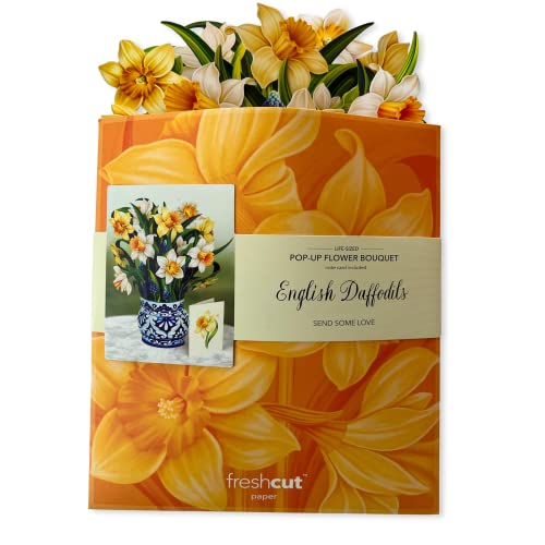 Freshcut Paper Pop Up Cards, English Daffodils, 12 inch Life Sized Forever Flower Bouquet 3D Popup Greeting Cards with Note Card and Envelope