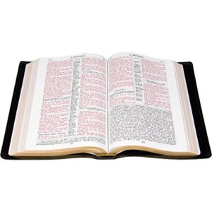 KJV Classic Large Print Study Bible (With C.I. Scofield Notes) - Lambskin Edition