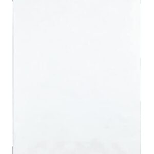 Quality Park Survivor R1460 Tyvek Mailer, 9 x 12, White (Box of 100)