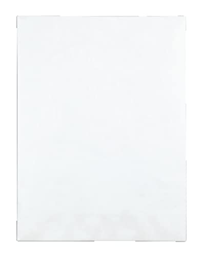 Quality Park Survivor R1460 Tyvek Mailer, 9 x 12, White (Box of 100)