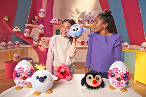 Pets Alive Chirpy Birds (Tucan) by ZURU, Electronic Pet That Speaks, Giant Surprise Egg, Stickers, Comb, Fluffy Clay, Bird Animal Plush for Girls