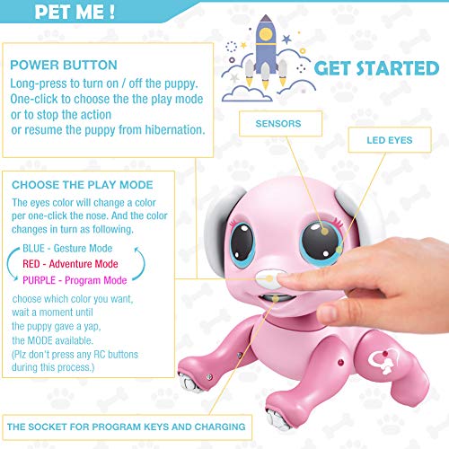 BIRANCO. Remote Control Dog Gesture Sensing - Smart Puppy Pink Toy Robot Pet Walks Barks Interactive with Toddler, STEM Play, Best Christmas Holiday Birthday Gifts for 3 4 5 6 7 8 Years Old Girl from