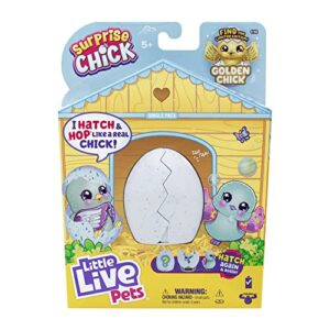 Little Live Pets - Surprise Chick; Cute Interactive Collectible Toy Chick Chirps & Taps; Hatches Out of Egg & Hops About - Blue Egg