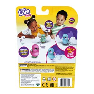 Little Live Pets - Surprise Chick; Cute Interactive Collectible Toy Chick Chirps & Taps; Hatches Out of Egg & Hops About - Blue Egg