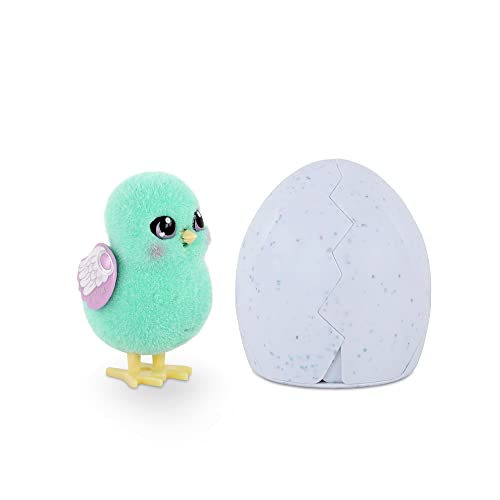 Little Live Pets - Surprise Chick; Cute Interactive Collectible Toy Chick Chirps & Taps; Hatches Out of Egg & Hops About - Blue Egg