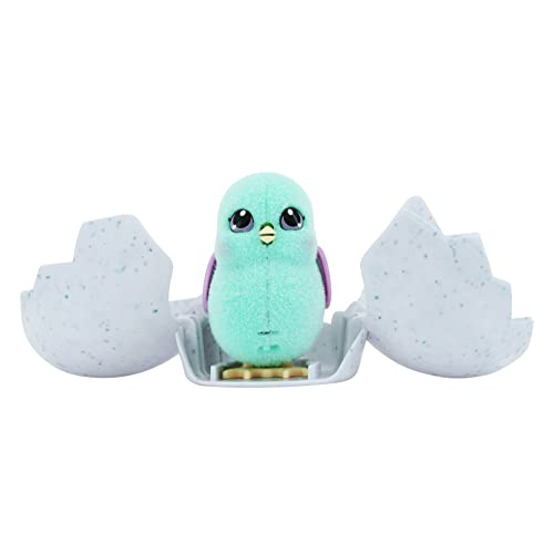 Little Live Pets - Surprise Chick; Cute Interactive Collectible Toy Chick Chirps & Taps; Hatches Out of Egg & Hops About - Blue Egg