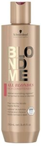 blondme all blondes rich conditioner, 8.45-fluid ounce, clear (2630730)