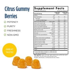 Nordic Naturals Nordic Berries, Citrus - 200 Gummy Berries - Great-Tasting Multivitamin for Ages 2+ - Growth, Development, Optimal Wellness - Non-GMO, Vegetarian - 50 Servings