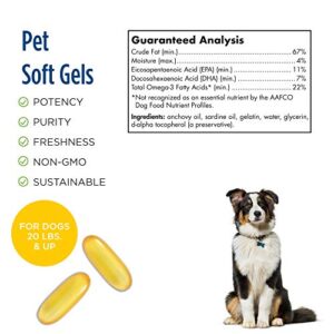 Nordic Naturals Omega-3 Pet, Unflavored - 180 Soft Gels - 330 mg Omega-3 Per Soft Gel - Fish Oil for Dogs with EPA & DHA - Promotes Heart, Skin, Coat, Joint, & Immune Health