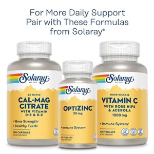 SOLARAY Vitamin B-Complex 100 mg, Healthy Energy, Blood Cell Formation & Nerve Impulse Transmission Support, 100 VegCaps (100 Count)