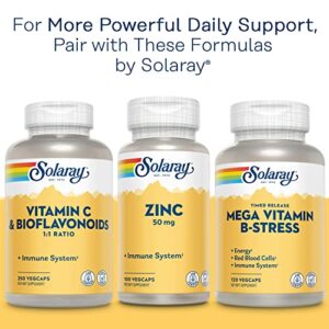 Solaray Calcium Magnesium Citrate 2:1 Ratio with Vitamin D2, Healthy Bone, Muscle & Nerve Support, 60 Serv, 360 VegCaps