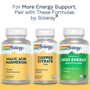 SOLARAY Vitamin B-Complex, Healthy Energy & Red Blood Cell Formation Support & More, 250 Servings, 250 VegCaps