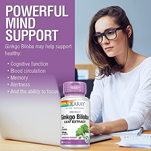 SOLARAY One Daily Ginkgo Biloba Leaf Extract | Healthy Blood Circulation, Memory & Brain Function Support (60 VegCaps)