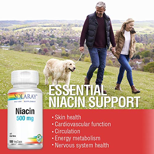 Solaray Niacin 500 mg, Vitamin B-3, 100ct