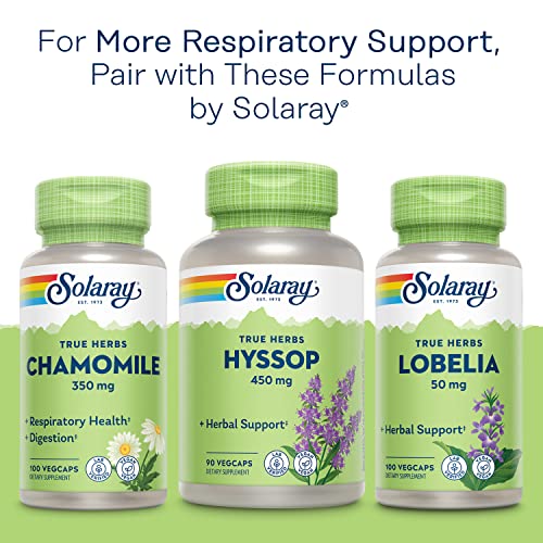 SOLARAY Mullein Leaf, Herbal Support for Healthy Respiratory and Bronchial Function 330mg, Vegan, 100 Servings, 100 VegCaps (Pack of 2)