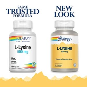 SOLARAY L-Lysine 500mg | Amino Acid | Healthy Cognitive, Immune System & GI Function, Bones, Joints & Skin Support | 120 VegCaps