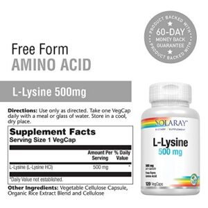 SOLARAY L-Lysine 500mg | Amino Acid | Healthy Cognitive, Immune System & GI Function, Bones, Joints & Skin Support | 120 VegCaps