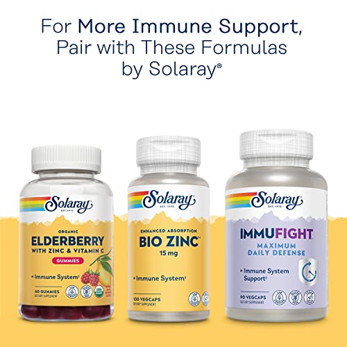 SOLARAY Vitamin C 500mg w/ Rose Hips, Acerola & Bioflavonoids, Timed-Release, Healthy Immune System Support, 250 VegCaps