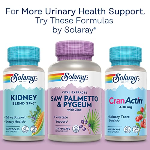 SOLARAY Nettle Extract 300 mg, Healthy Urinary & Prostate Support for Men, W/ Amino Acids & Beta-Sitosterol, 60 VegCaps