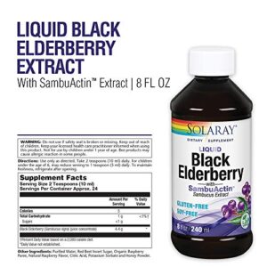 SOLARAY Liquid Black Elderberry Extract | Delicious, Healthy Immune System & Antioxidant Support | 24 Servings | 8 fl oz