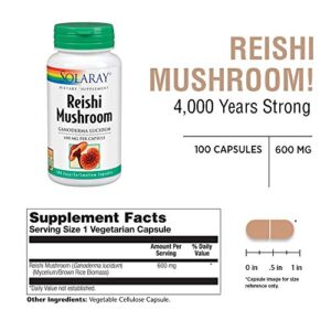 SOLARAY Reishi Mushroom 600mg | Healthy Immune, Cardiovascular & Brain Function Support | Energy & Mood Supplement | Lab Verified | 100 VegCaps