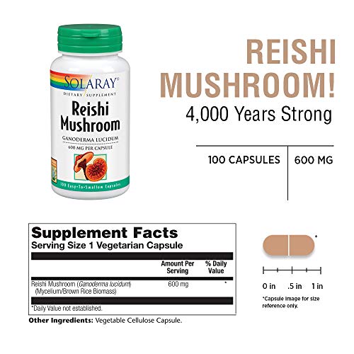 SOLARAY Reishi Mushroom 600mg | Healthy Immune, Cardiovascular & Brain Function Support | Energy & Mood Supplement | Lab Verified | 100 VegCaps