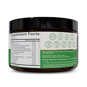 Beyond Greens Super Greens Powder Superfood - Delicious Debloating Green Powder - Matcha Greens Blend Superfood Powder w/ Chlorella, Echinacea, Probiotics for Immune Support & Energy by Live Conscious