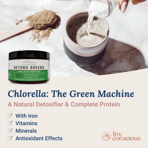 Beyond Greens Super Greens Powder Superfood - Delicious Debloating Green Powder - Matcha Greens Blend Superfood Powder w/ Chlorella, Echinacea, Probiotics for Immune Support & Energy by Live Conscious